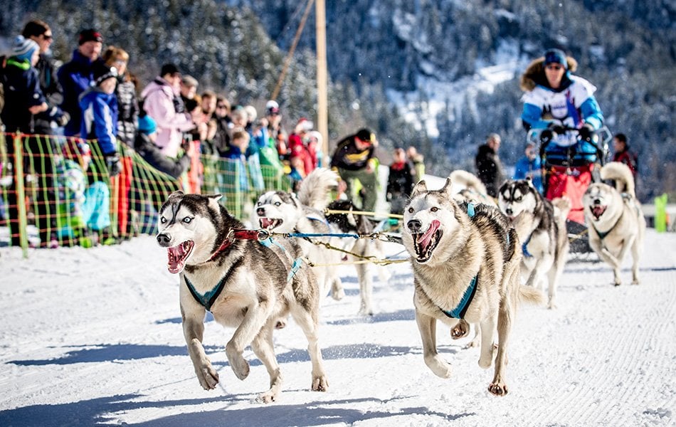 Gadmen-Dolomiten – entdecke und erlebe Gadmen bei Innertkirchen ...