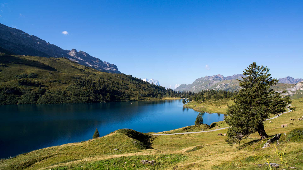 Kraftort Engstlenalp | Gadmen-Dolomiten – entdecke und erlebe Gadmen ...